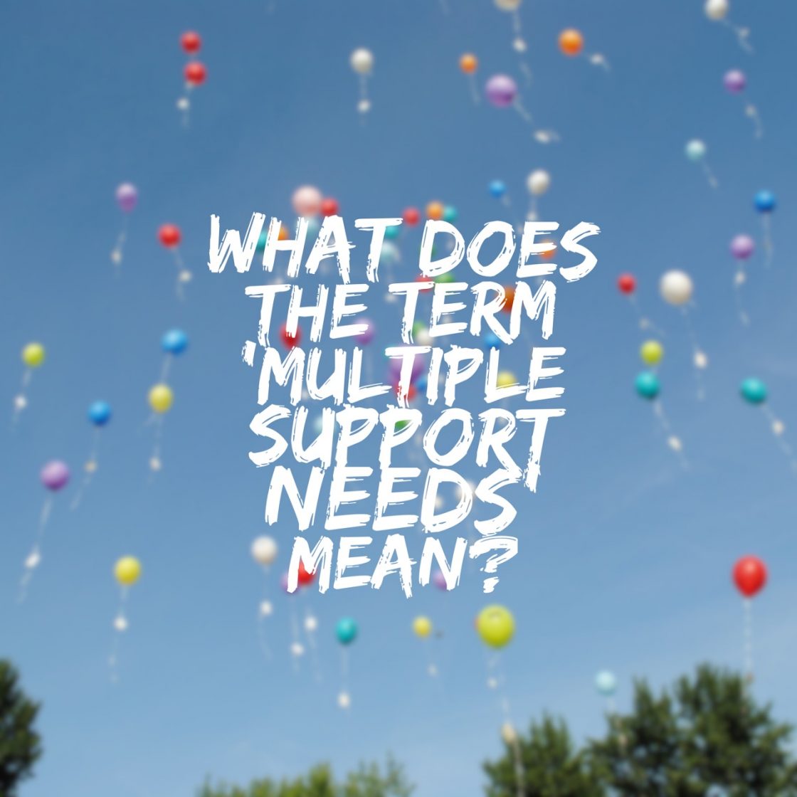What does ‘Multiple Support Needs’ mean? – SensationALL